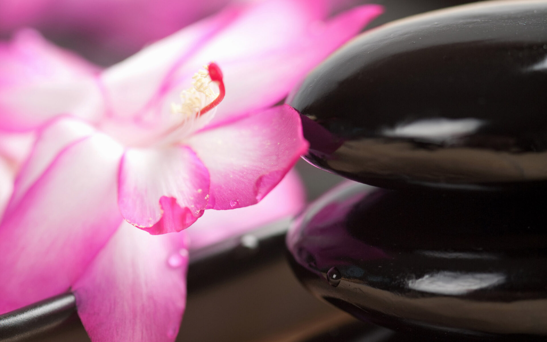 Children Spa Parties With - Eminence Mobile Massage